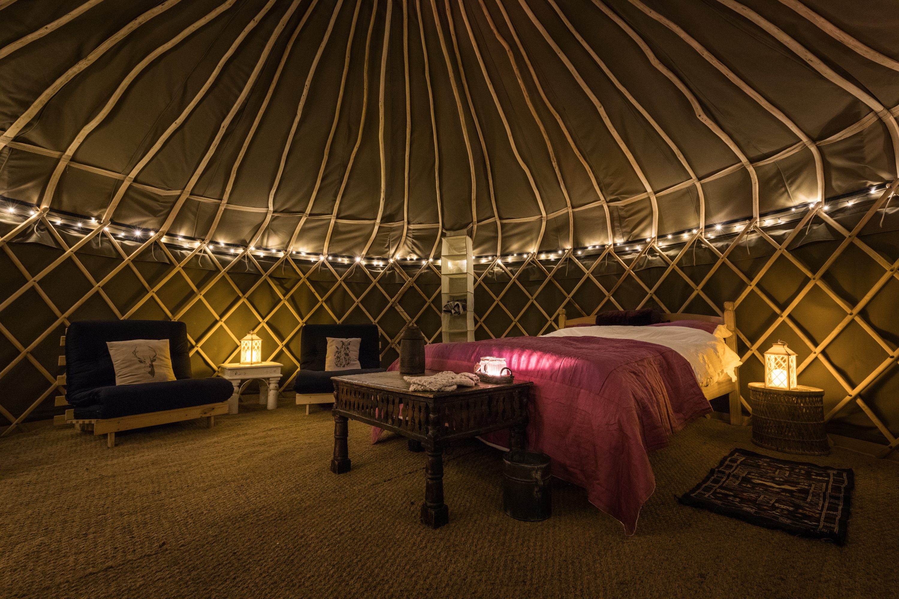 Dreamy Days & Starry Nights ⋆ Stackpole Under the Stars